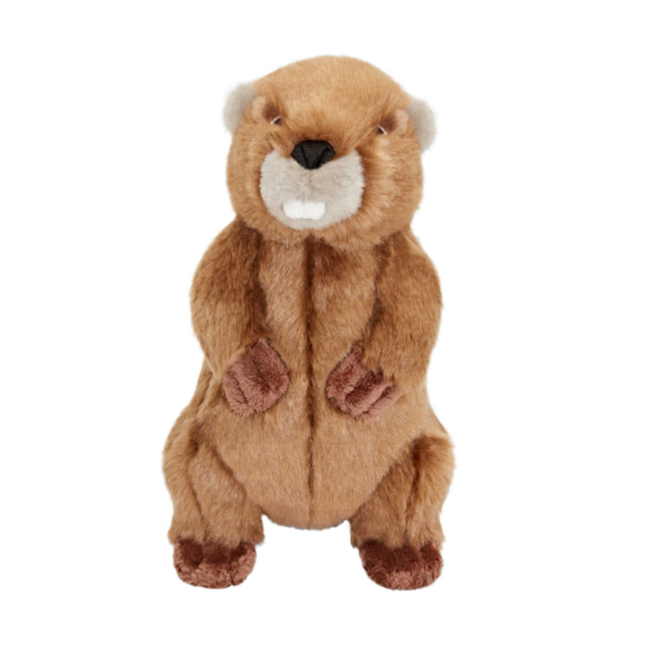Troy Beaver Dog Toy – Toiffer Pet Outfitter