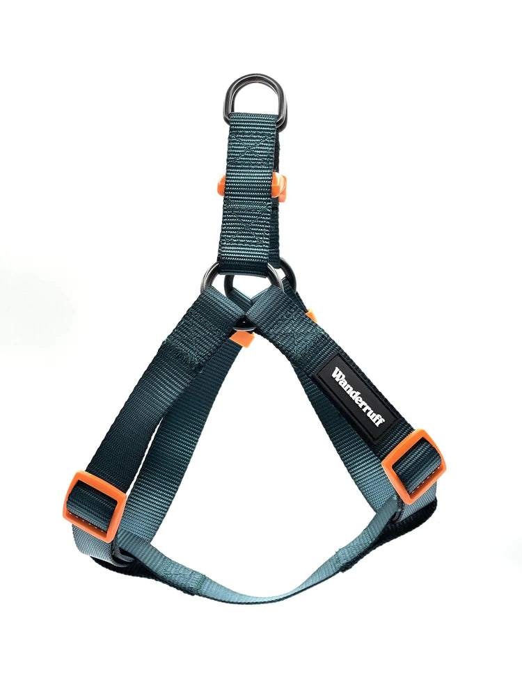 Norm Eco Friendly Harness – Toiffer Pet Outfitter